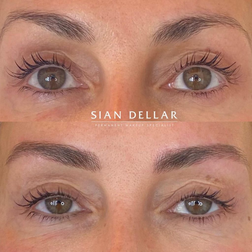 Balanced soft arch brows with combination brows - Sian Dellar